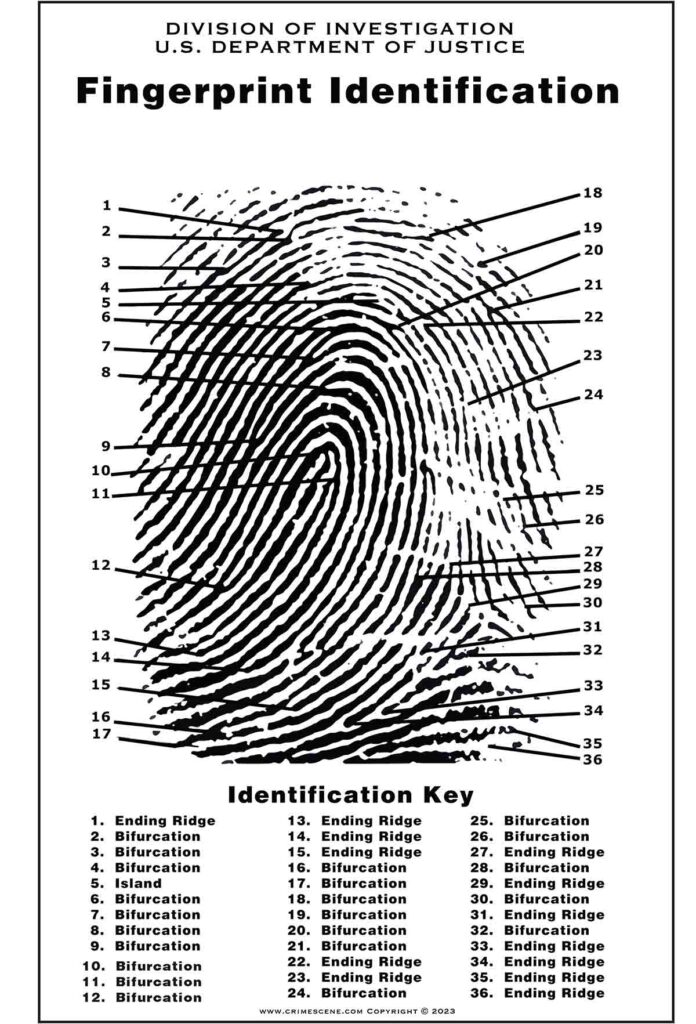Fingerprint Poster