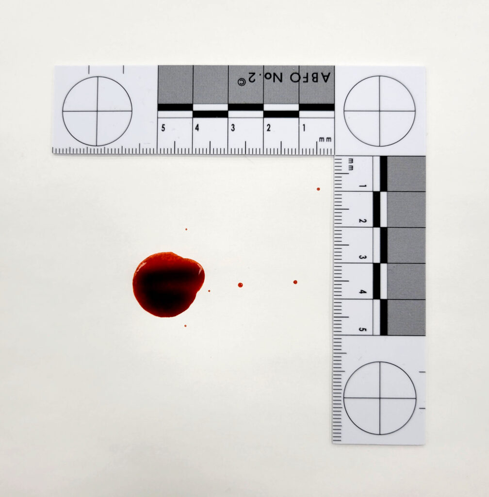 No. 2 Photomacrographic Scale - Crime Scene Forensic Supply Store