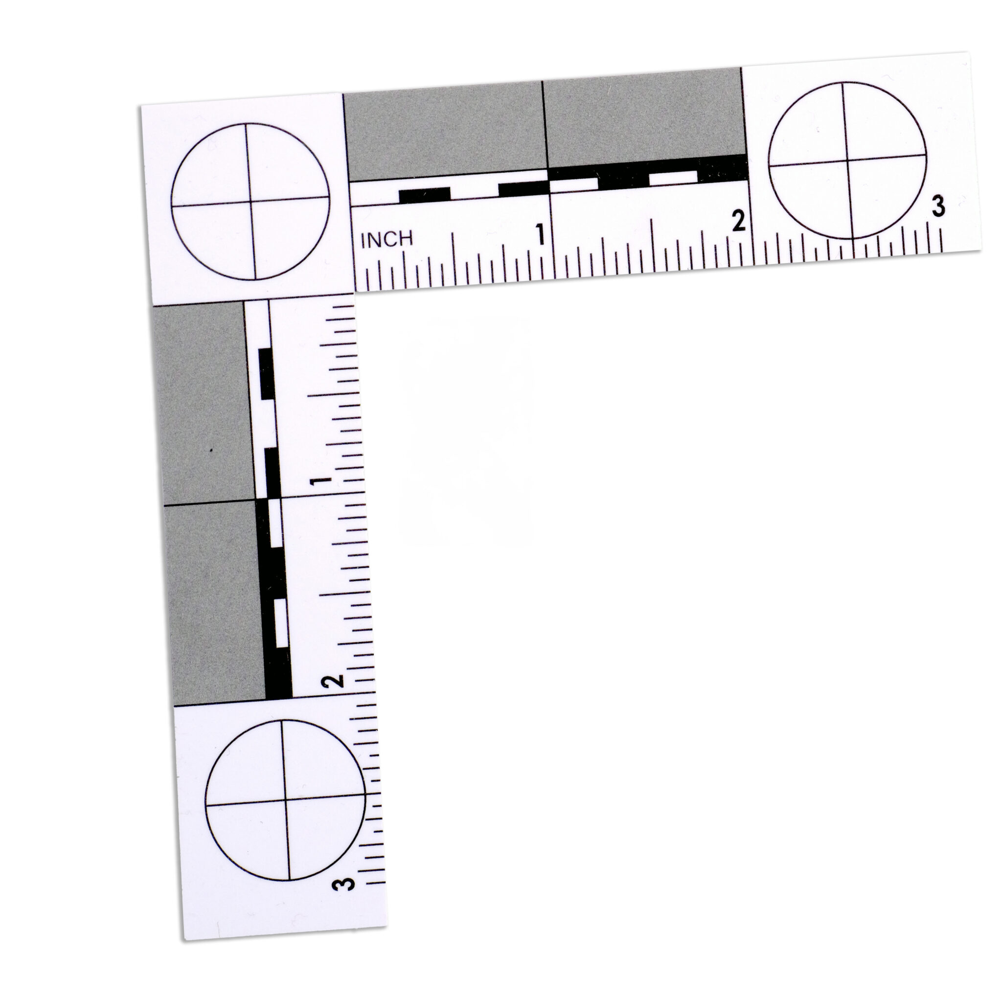 ABFO No. 2 Photomacrographic Scale for Bitemark Analysis