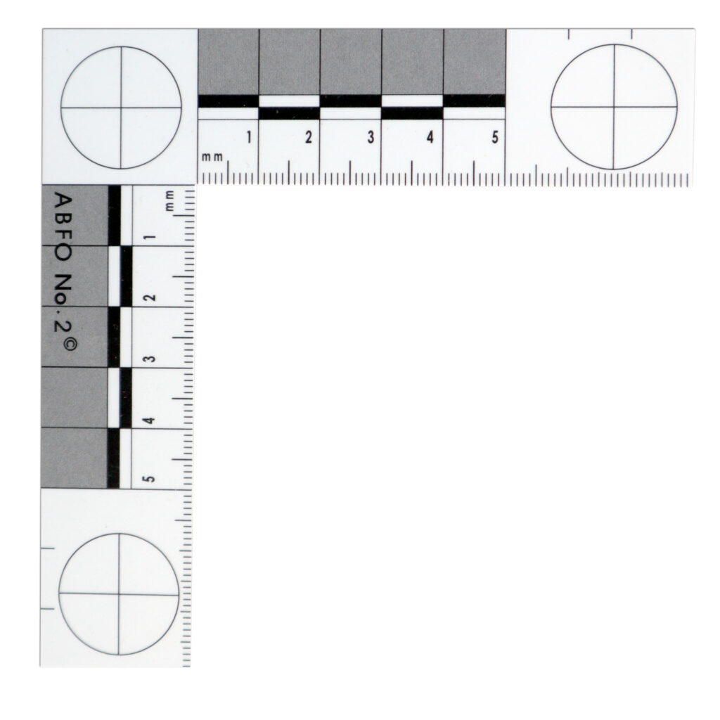 ABFO No. 2 Photomacrographic Scale for Bitemark Analysis
