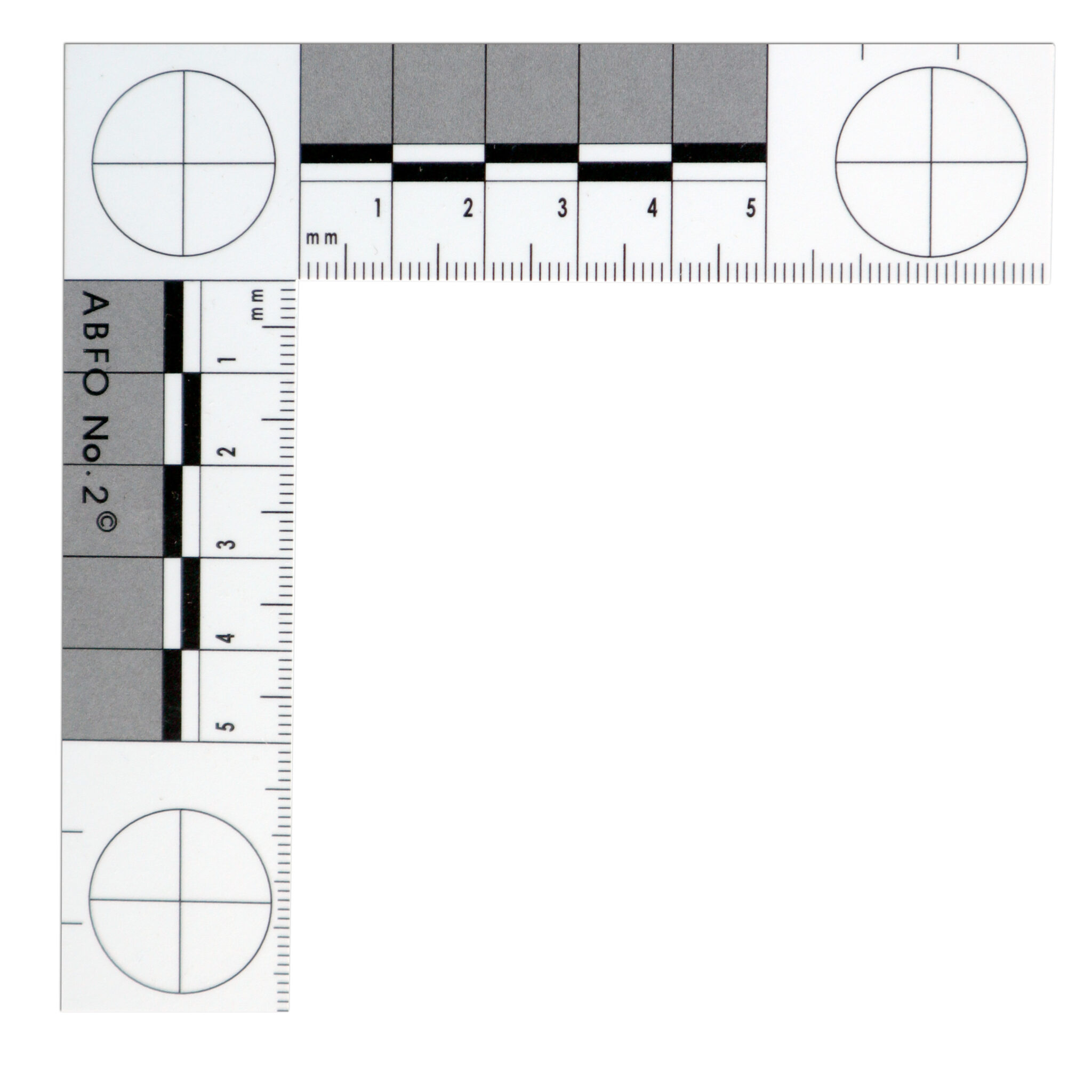 ABFO No. 2 Photomacrographic Scale for Bitemark Analysis