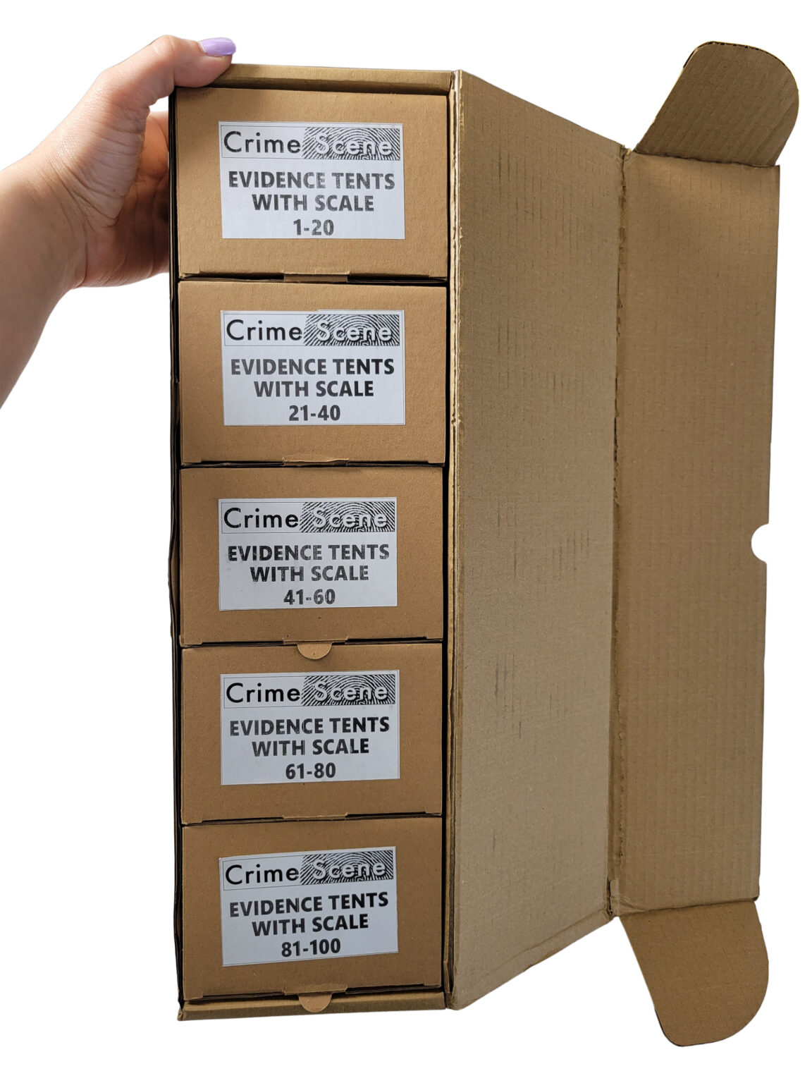 Evidence Tent: Strong, Bright with Numbers 1-100